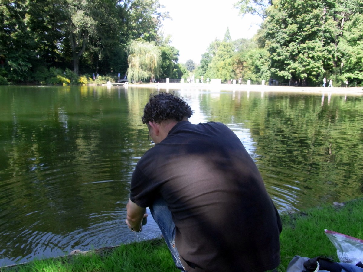 How common are ‘exotic’ invertebrates in public and botanical garden ...