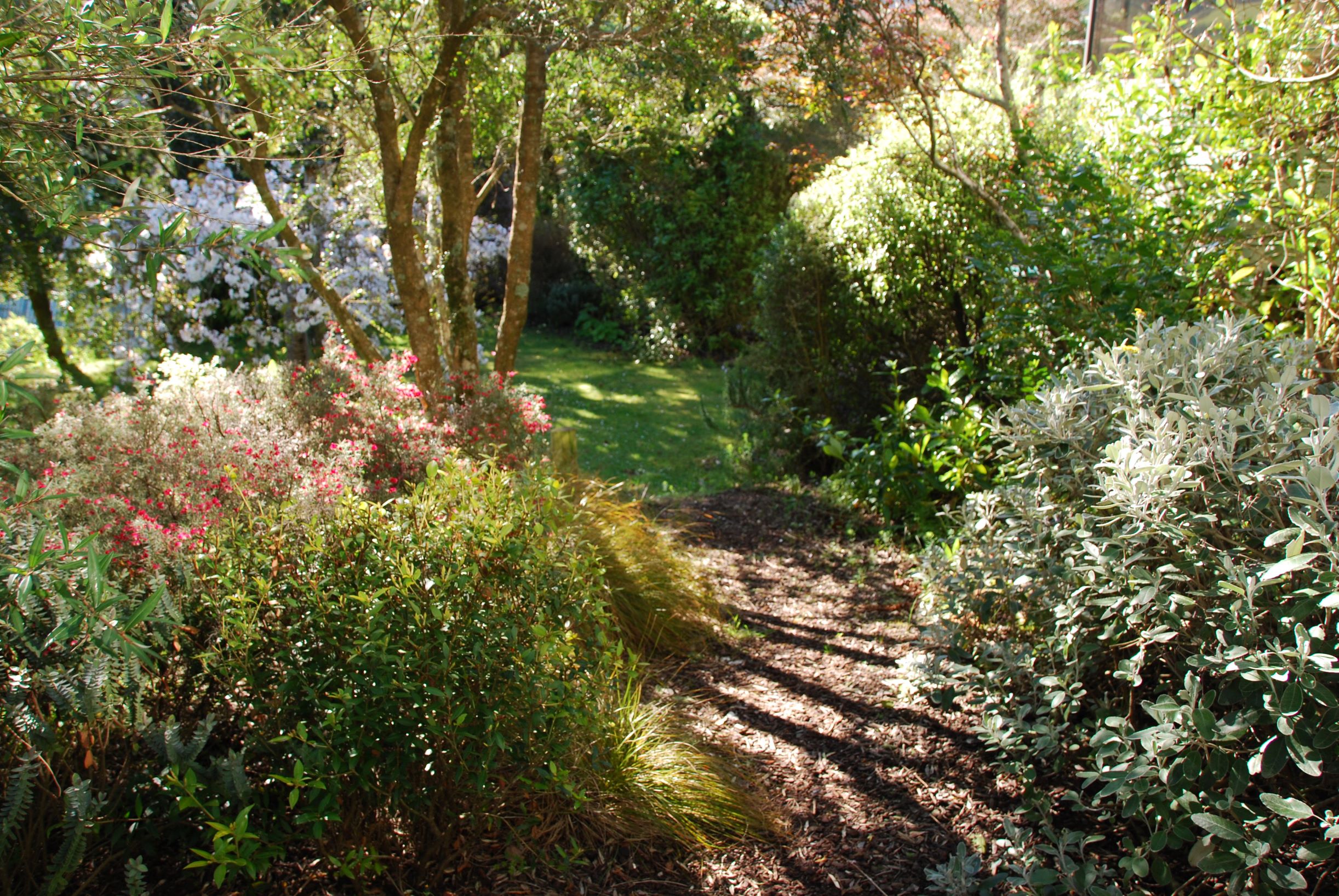 Garden Star: Supporting Urban Native Biodiversity – The Garden History ...
