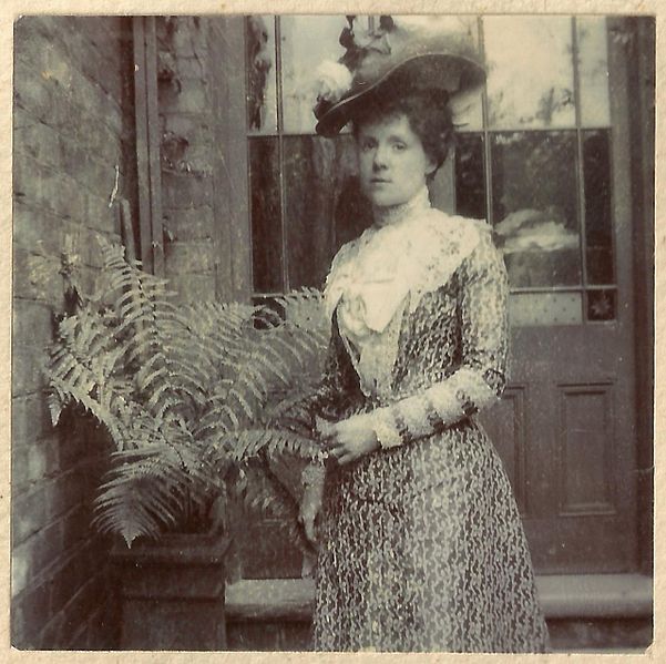 When Ferns went Viral: New Zealand Women and the Global Fern Craze ...