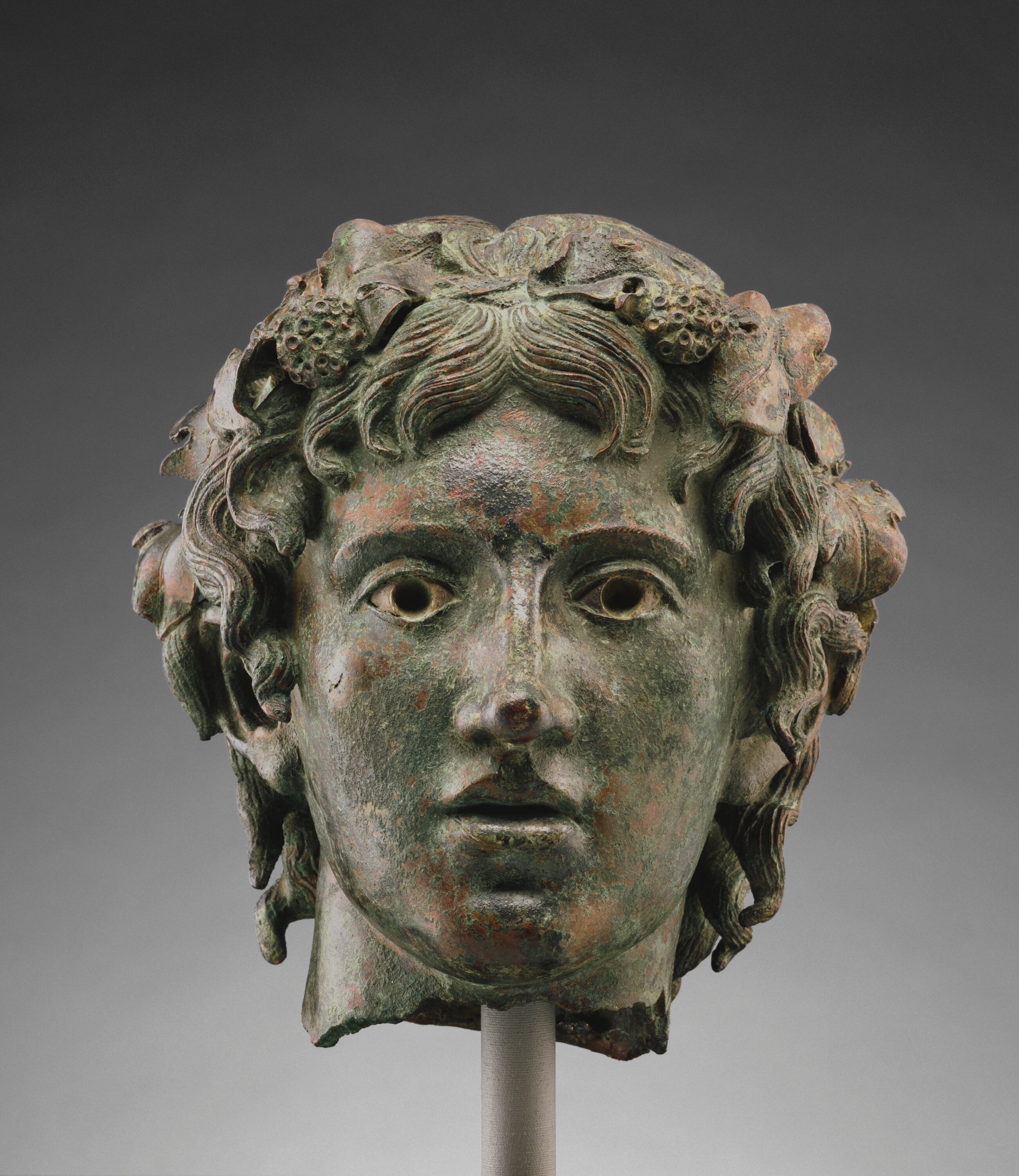 What’s in a name? Bacchus and the ‘paddle plant’ – The Garden History ...