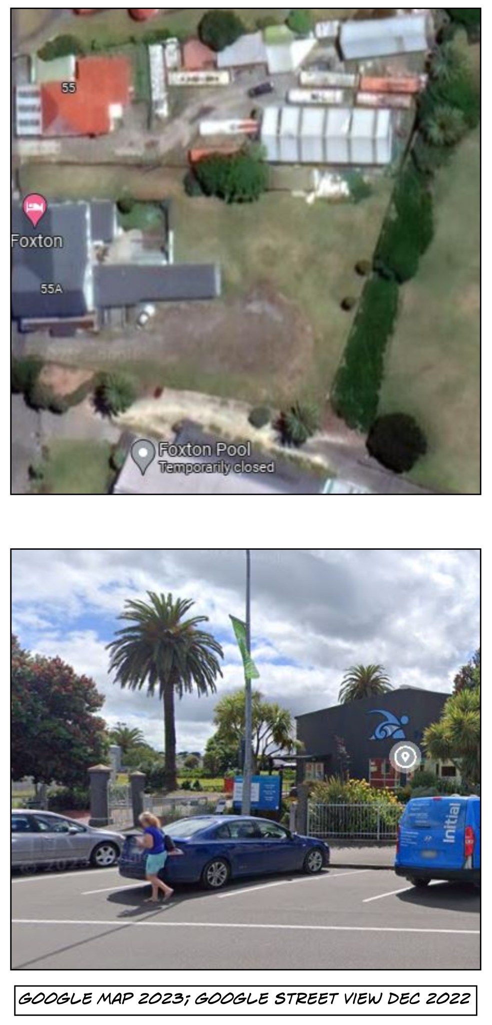 Phoenix palms: beginning a sociological inquiry – The Garden History ...