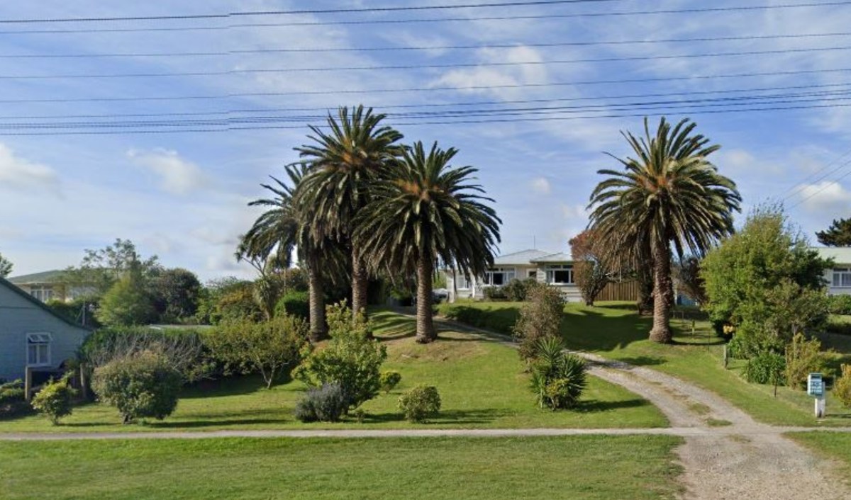 Phoenix palms: beginning a sociological inquiry – The Garden History ...