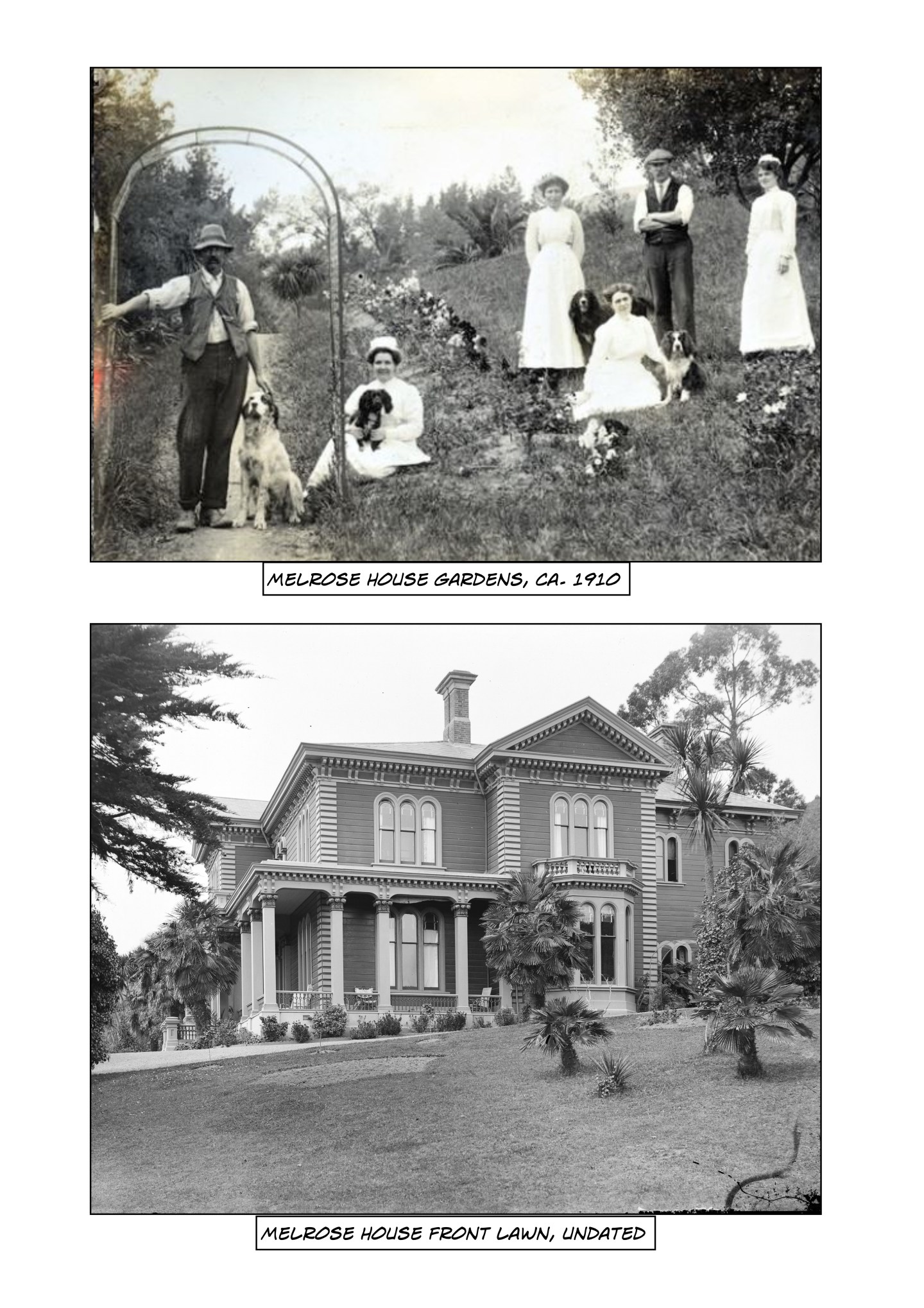 Percy Adams and Nelson’s ‘Monte Carlo Palms’ – The Garden History ...