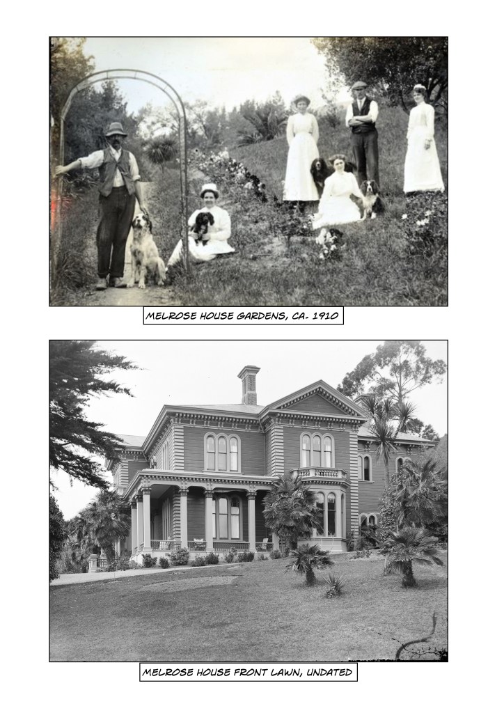 Percy Adams and Nelson’s ‘Monte Carlo Palms’ – The Garden History ...