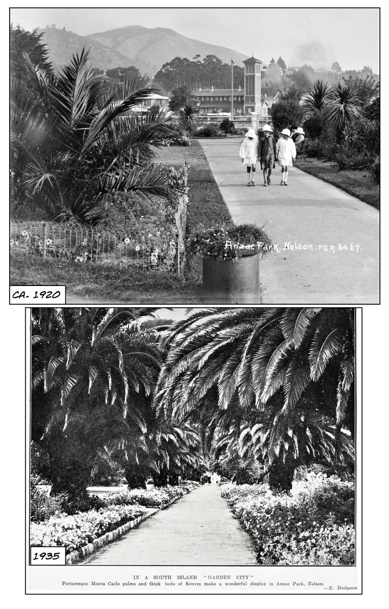 Percy Adams and Nelson’s ‘Monte Carlo Palms’ – The Garden History ...