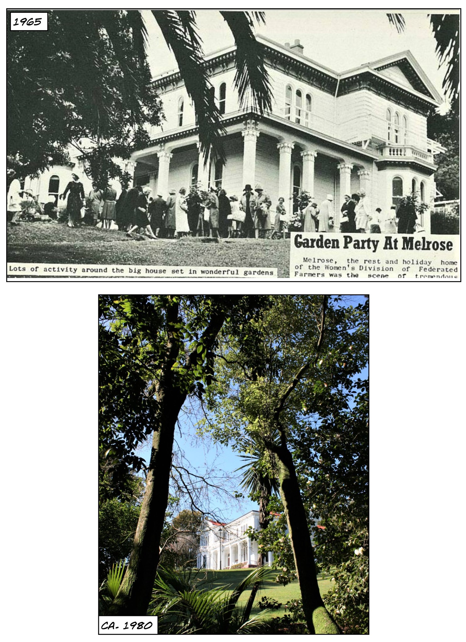 Percy Adams and Nelson’s ‘Monte Carlo Palms’ – The Garden History ...