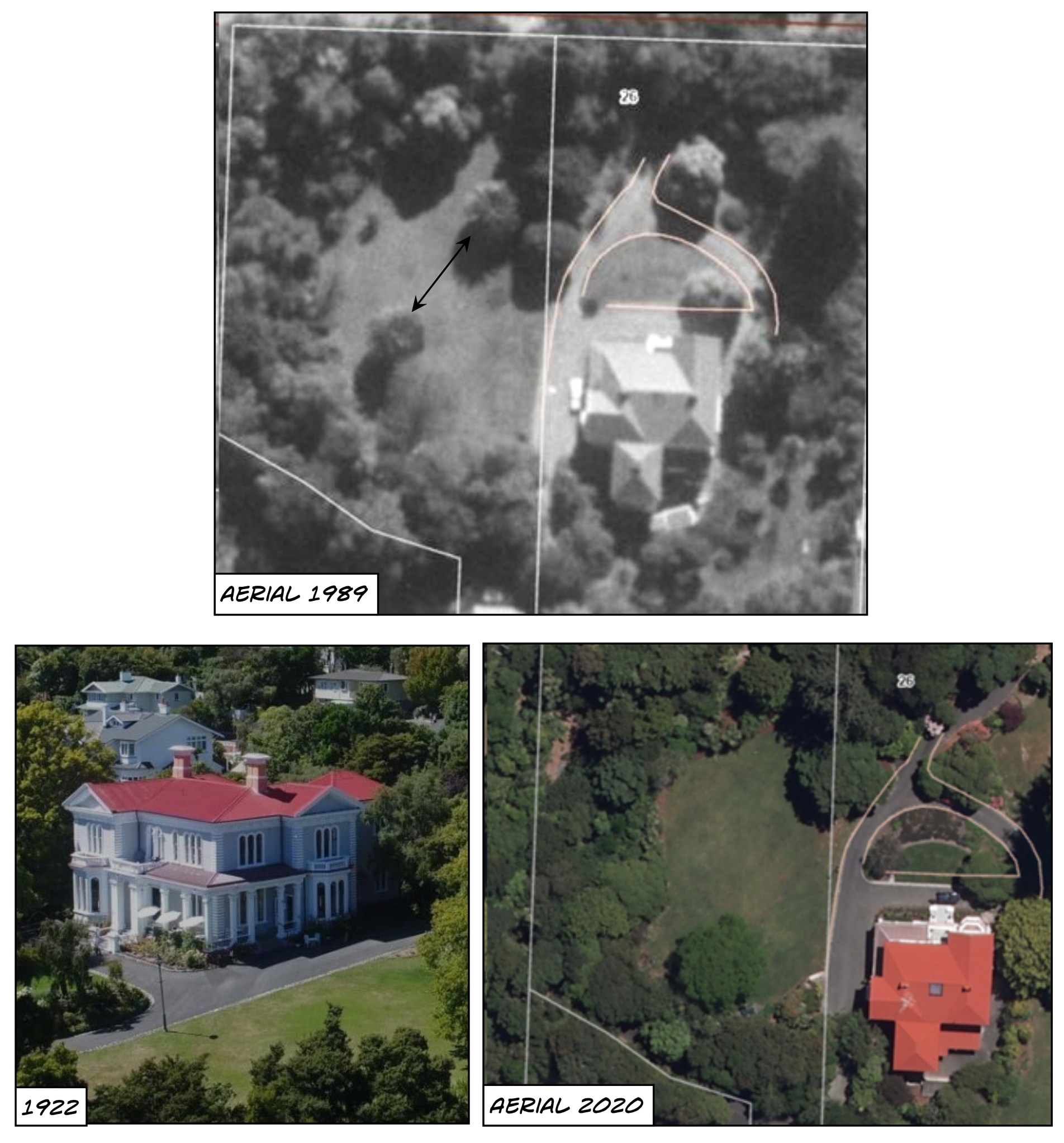 Percy Adams and Nelson’s ‘Monte Carlo Palms’ – The Garden History ...