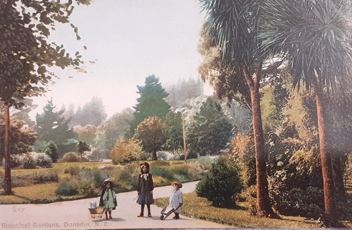 The 1928 Visit to New Zealand by Arthur Hill, Director of the Royal ...