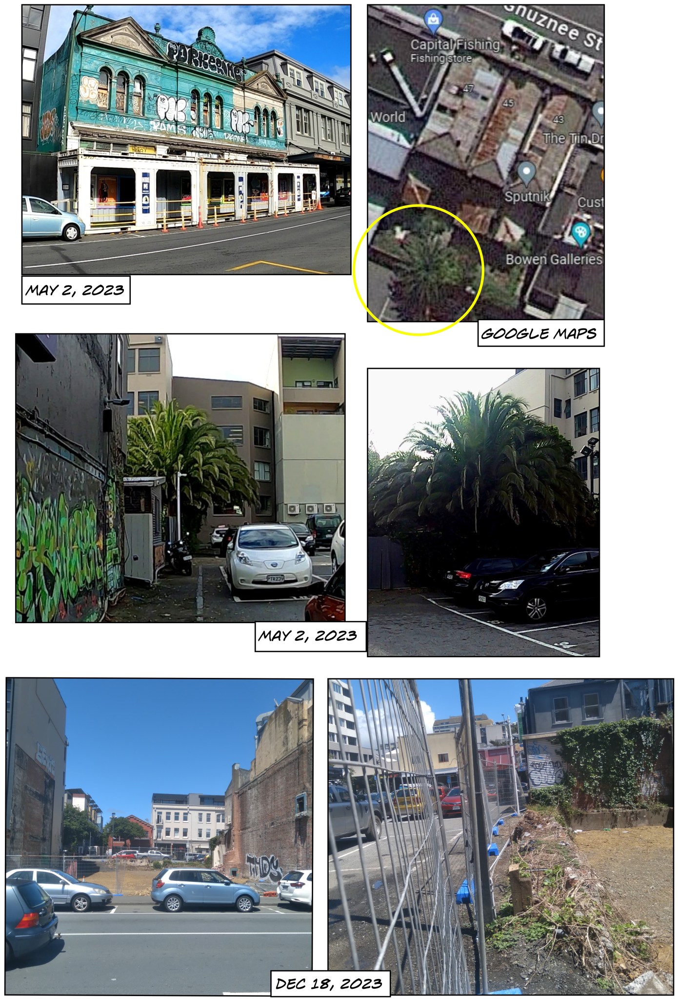 Tree connections with buildings and across time – The Garden History ...