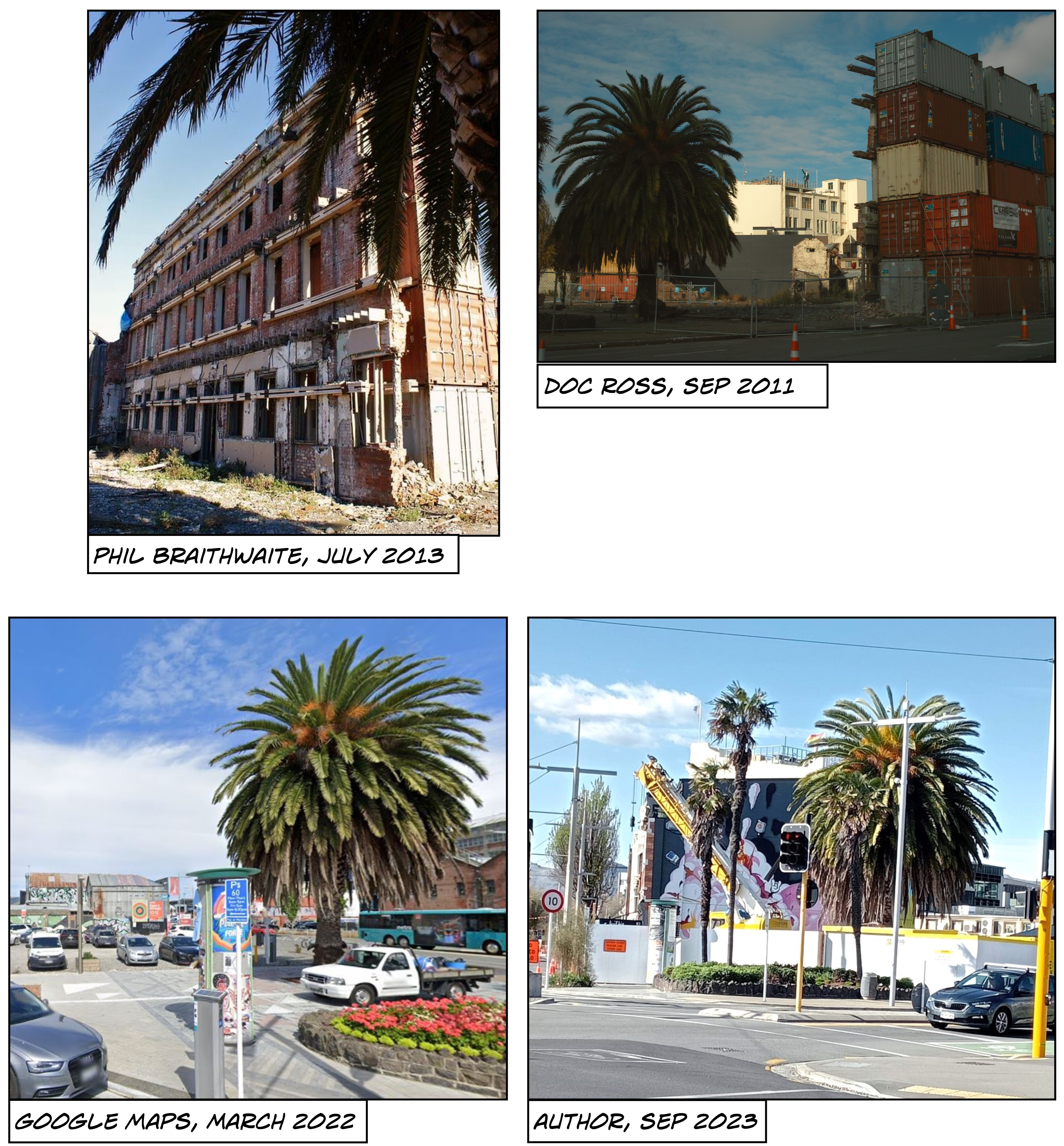 Tree connections with buildings and across time – The Garden History ...