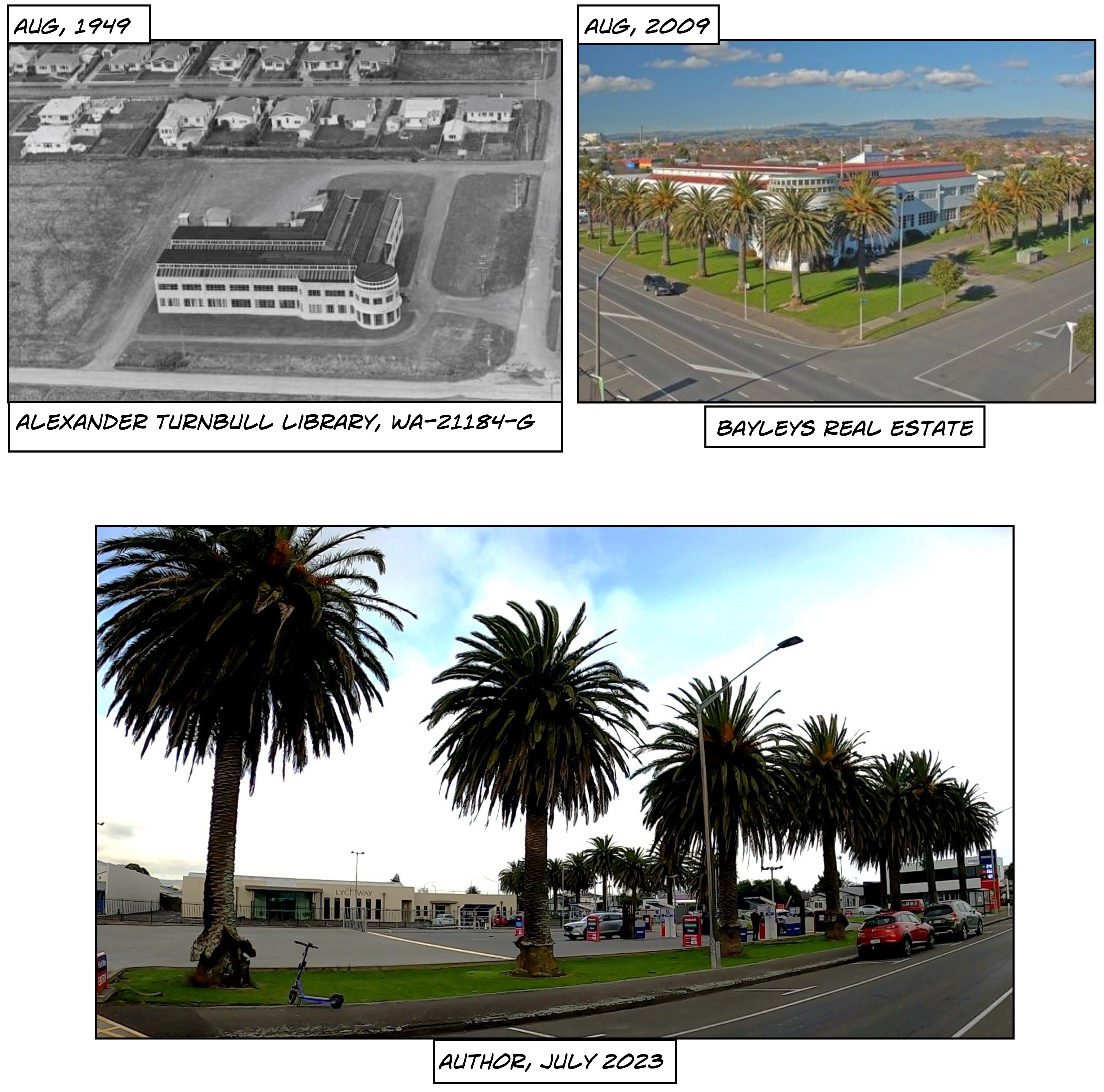Tree connections with buildings and across time – The Garden History ...
