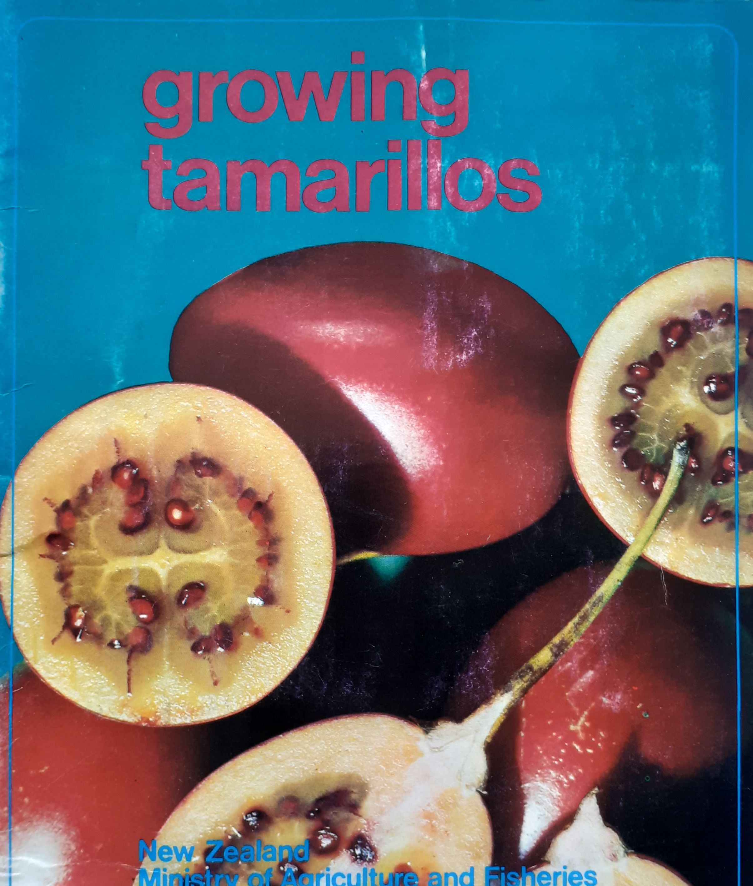Tamarillo; a history of the Tree Tomato and its name in New Zealand ...