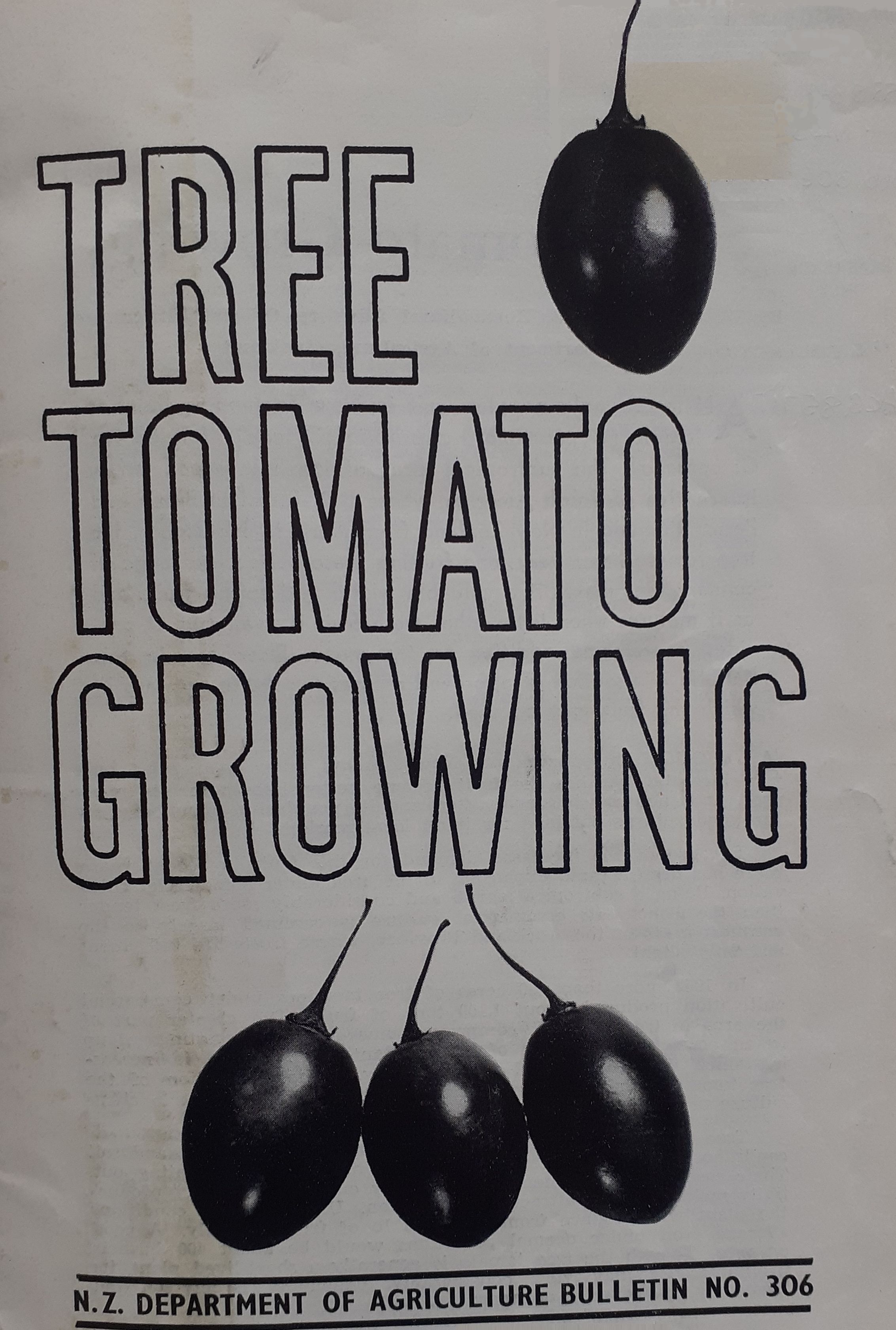Tamarillo; a history of the Tree Tomato and its name in New Zealand ...
